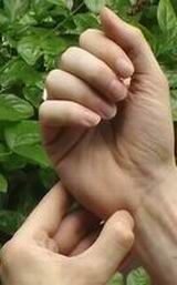 What is Acupressure? - holosapiens.org